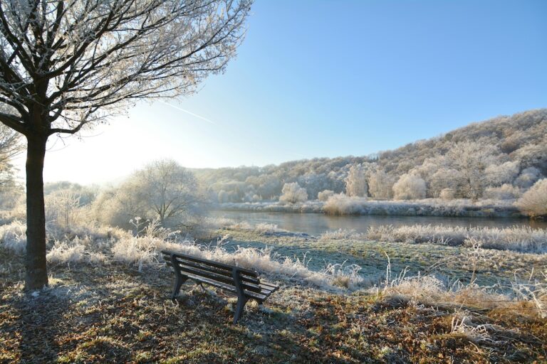 How do Brits describe the cold weather?